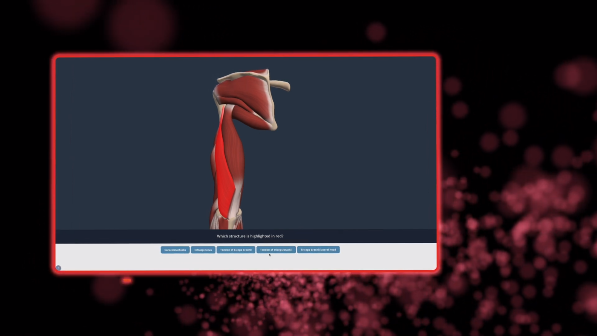 Primal Pictures - Anatomy PALMs | Infocandy