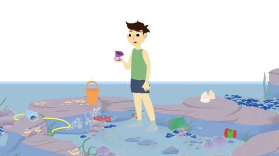 Motion Graphics Archives | Infocandy