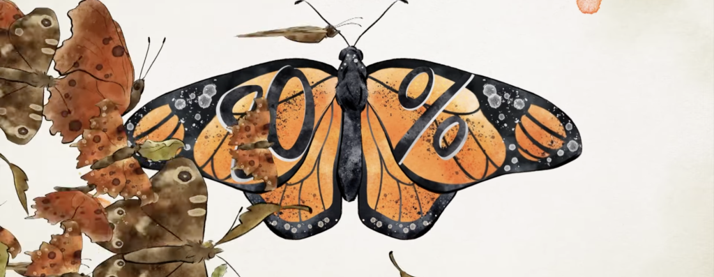 The Insect Apocalypse | Infocandy